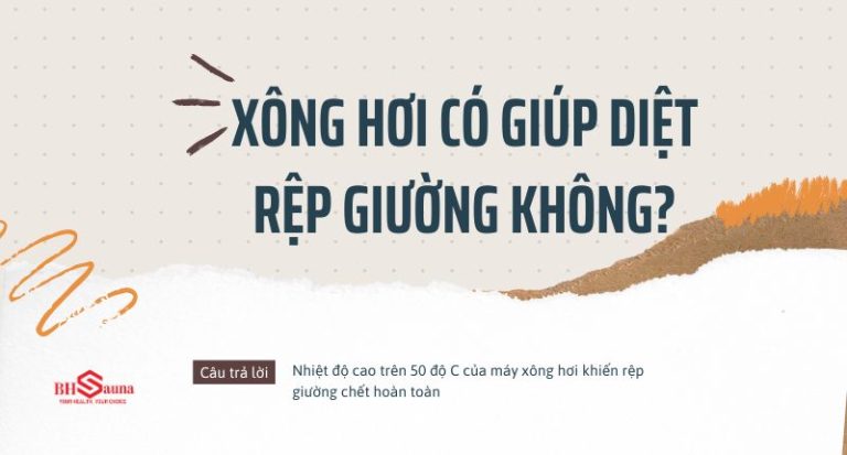 Rệp giường là gì? Xông hơi có giúp diệt rệp giường không?